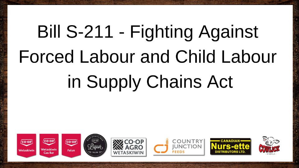 Bill S-211 - Fighting Against Forced Labour and Child Labour ...